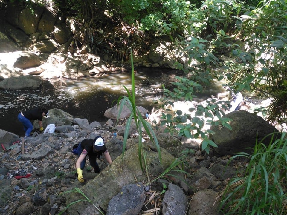 Conzultek colaboró en la recolección de 500 kilogramos de basura en el ...